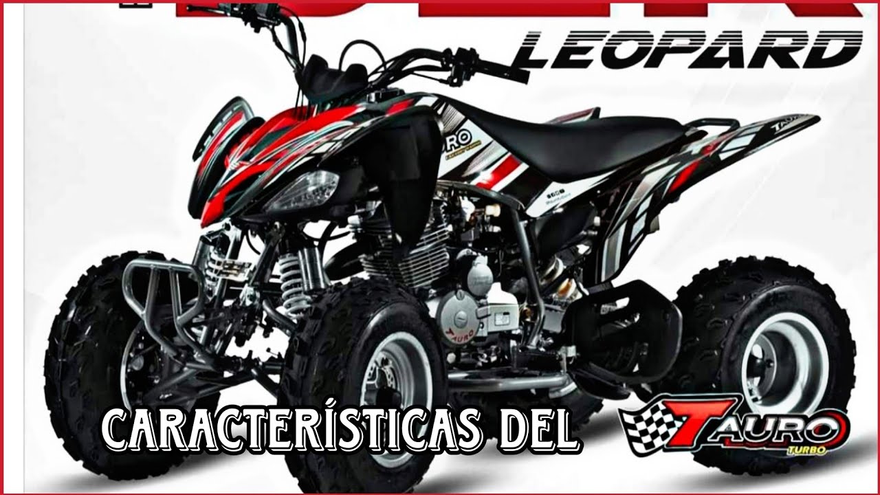 CARACTERÍSTICAS DEL FOURWHEEL TAURO LEOPARD 250 CC - YouTube