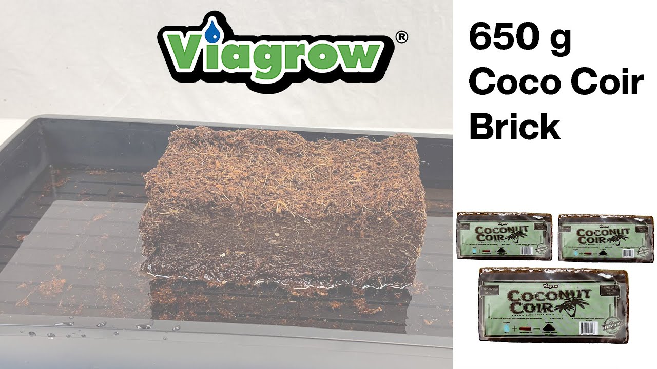 Viagrow 1.4 Lbs / 650g Coco Coir Brick Expansion - YouTube
