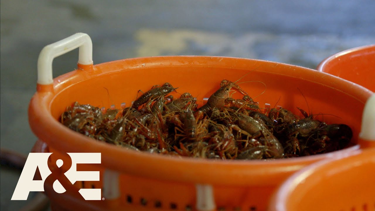 Nightwatch: Bonus: Firemen's Crawfish Boil | A&E - YouTube