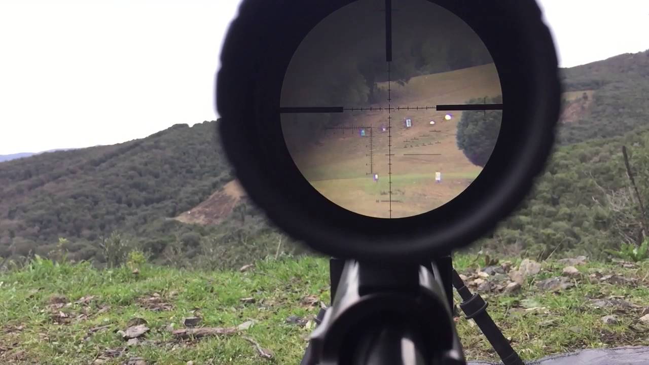 MSR reticle - 977m - Steiner optics - Skiritai Legacy - victrixs ...