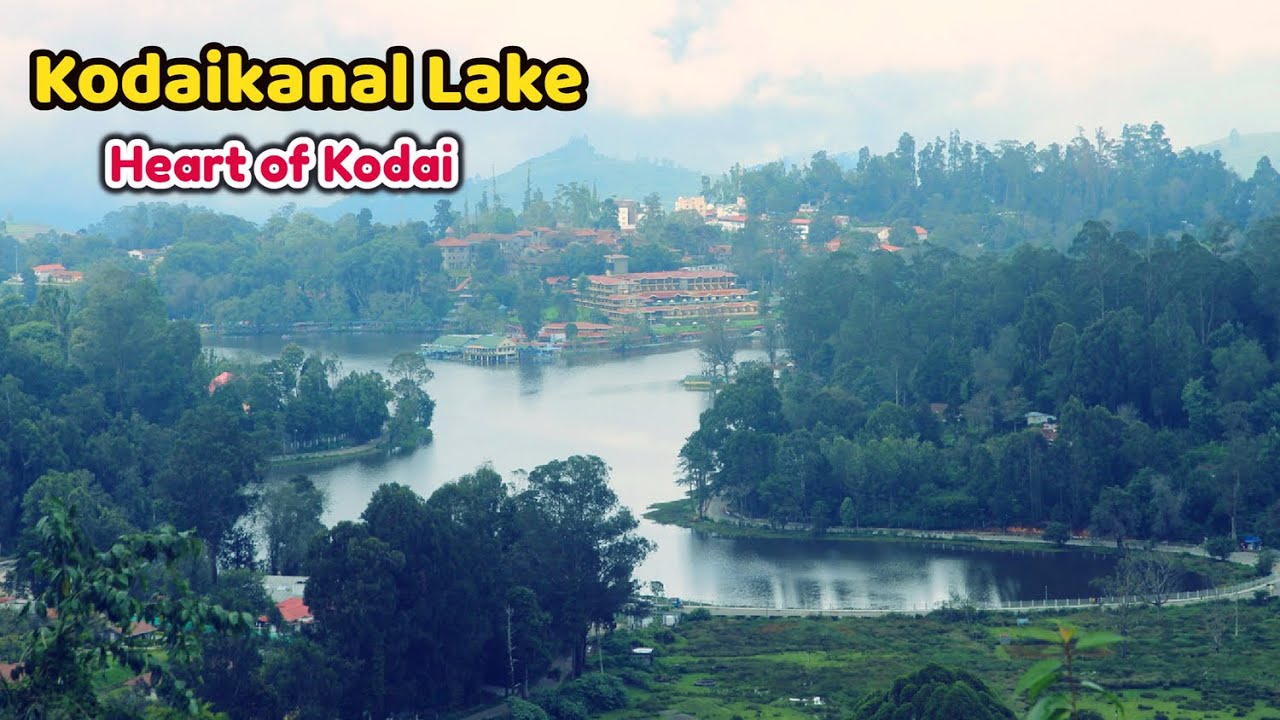 Kodaikanal Lake | நட்சத்திர கொடைக்கானல் ஏரி | Heart of Kodai | Mist ...