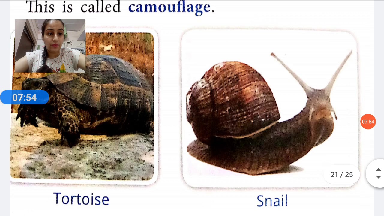 Science Class 4 Chapter 4 Video 2 YouTube Science Class 4 Chapter 4 Video 2 YouTube