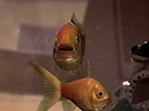 Fish The Movie HD Full Movie 1080p Free No Virus - YouTube