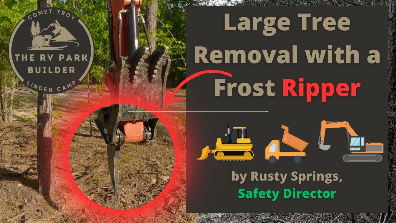 The Secret to Removing Trees on Your Property Without Breaking a Sweat ...