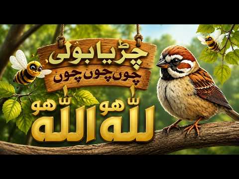chirya boli choo choo choo Allah Hoo Allah Hoo | 4min + minutes Poem