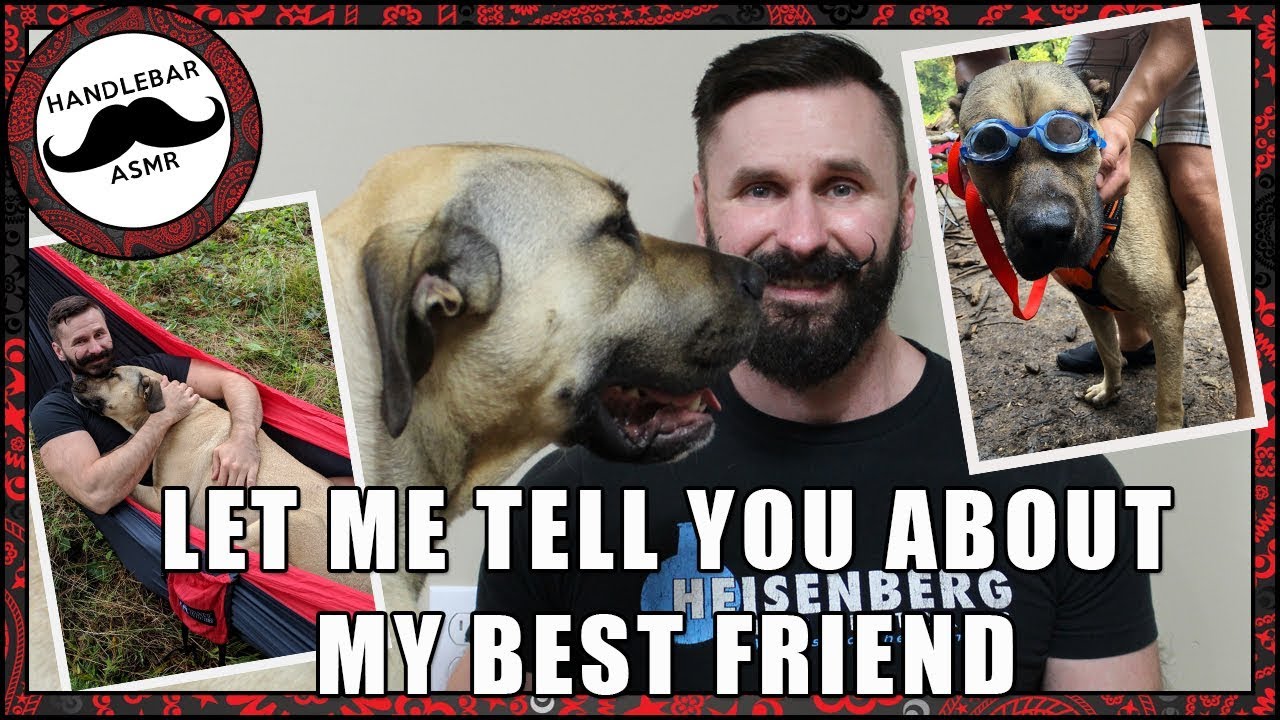 Handlebar ASMR Let Me Tell You About My Best Friend - YouTube