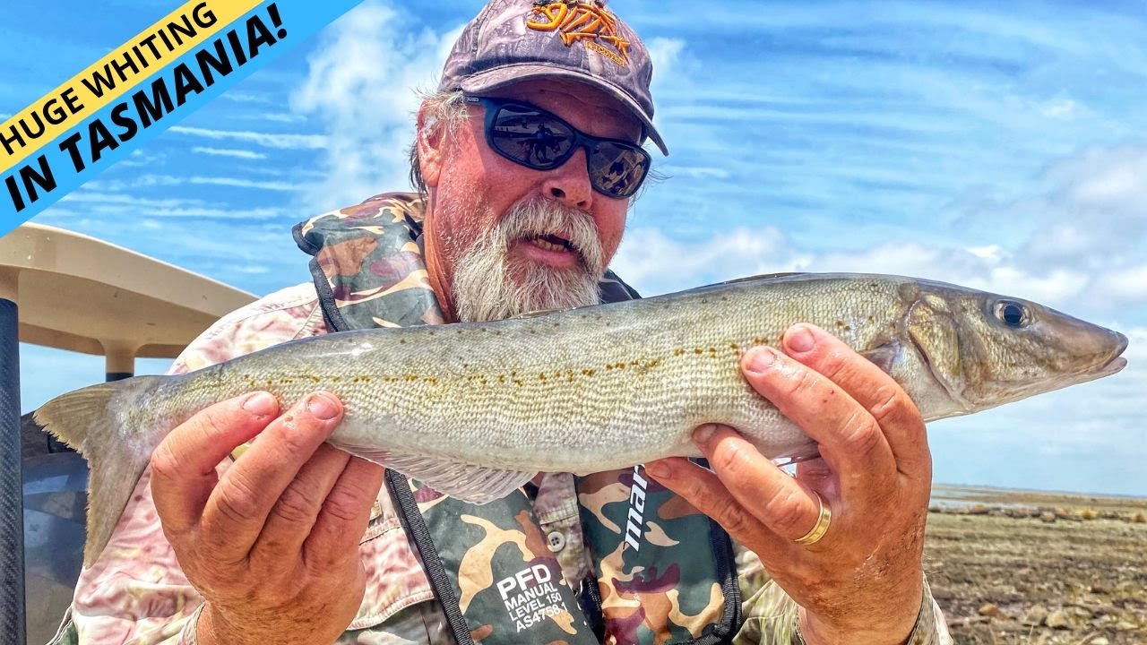 WHITING & SQUID HEAVEN In The Wild North-West Of Tasmania! - YouTube