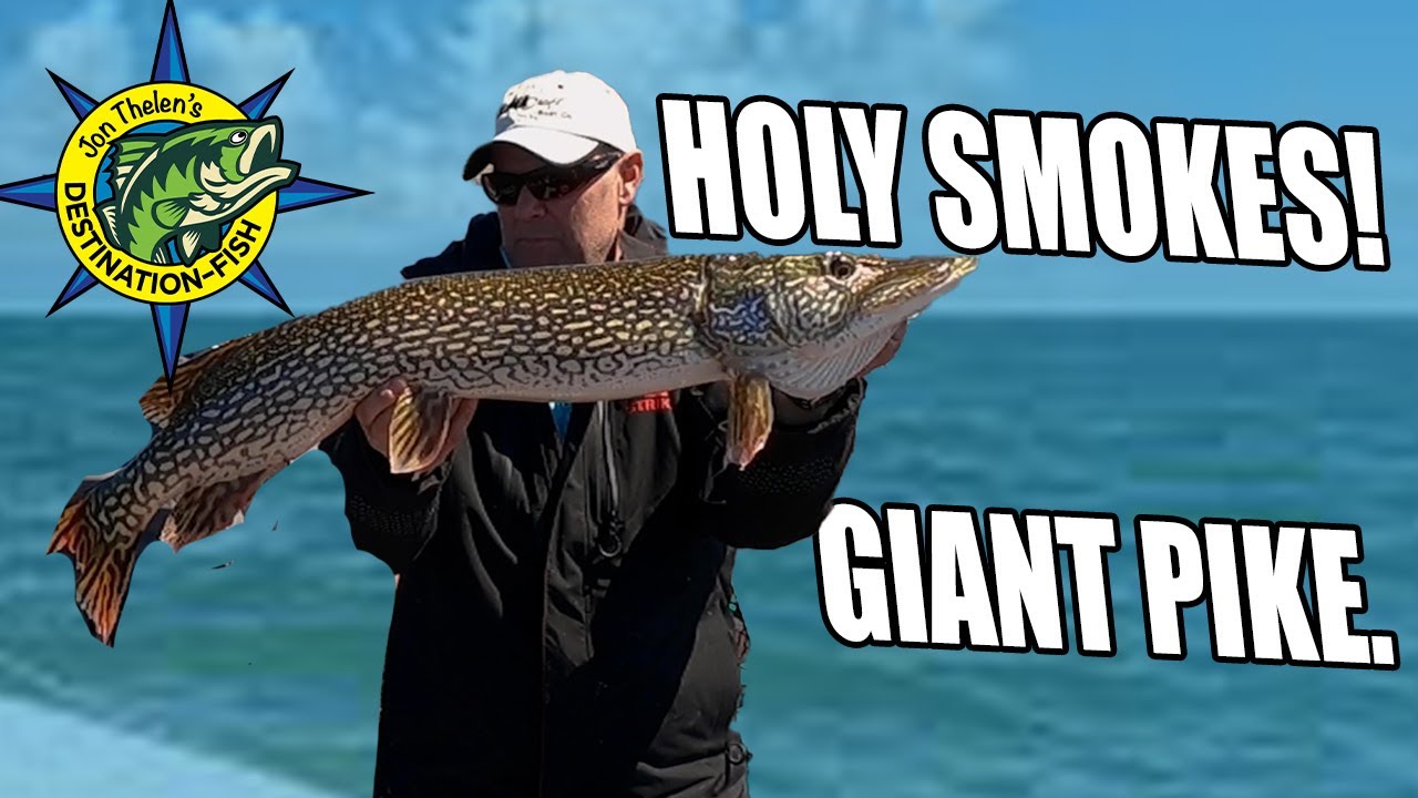 How To Catch Giant Pre Spawn Pike - YouTube