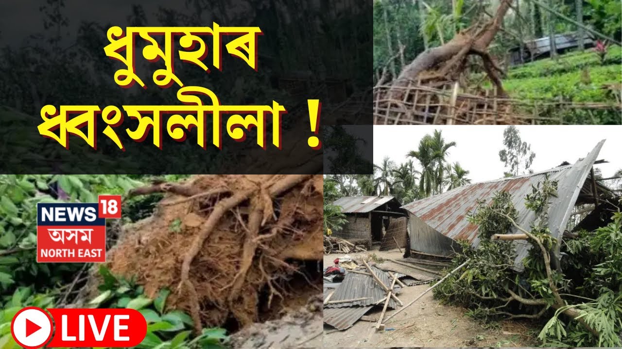 Live : Assam Weather Report | বিধ্বংসী ধুমুহাত ৩/৪ দিনে ব্যাহত বিদ্যু ...