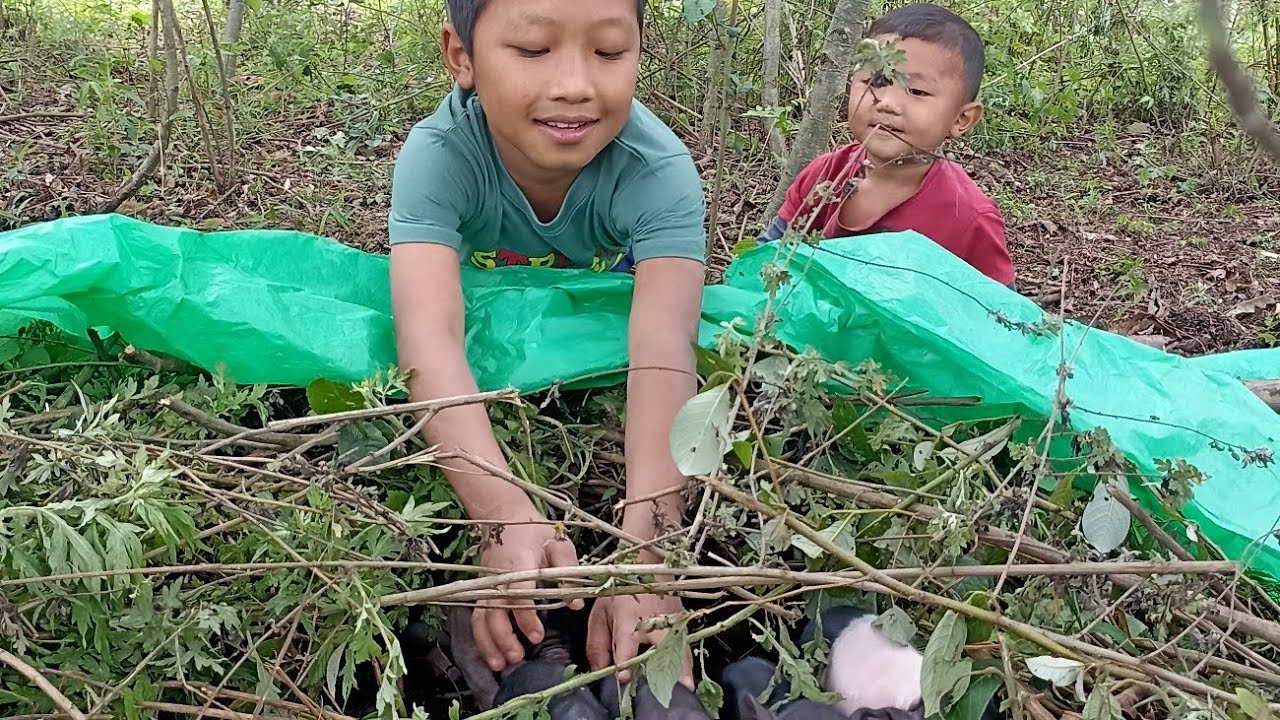 village life kids vlog Arunachal pradesh - YouTube