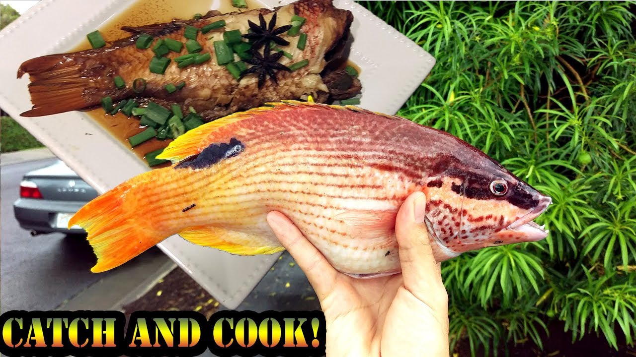 A'awa (Hawaiian Table Boss) Fishing Catch and Cook! - YouTube