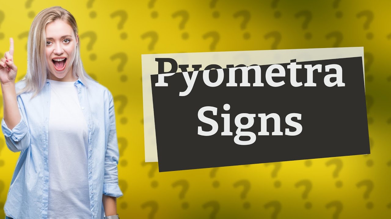 What are the first signs of pyometra? - YouTube