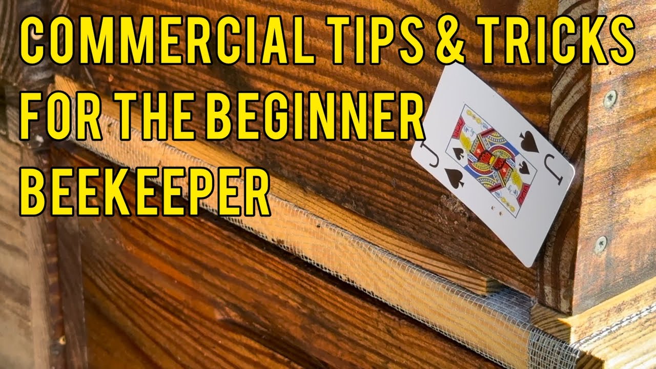 Commercial Tips & Tricks for the Beginner Beekeeper - YouTube