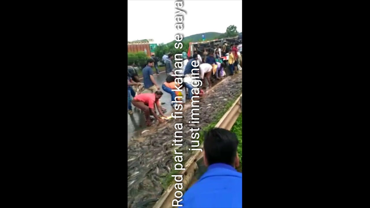 Road par jahan dekho wahi fish hi fish - YouTube