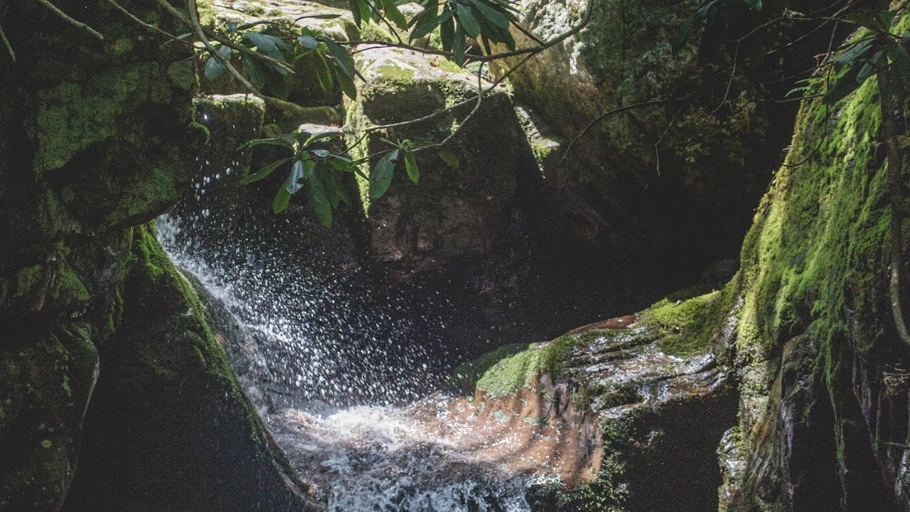 gentle spring water flowing downstream 1 hour version🏞️ - YouTube
