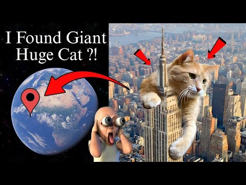 Found Giant 🤯 Weird Cat is Real? on Google Map and Google Earth 🌎 # ...