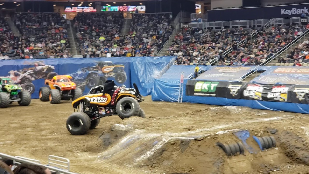 Monster mutt rottweiler freestyle - YouTube