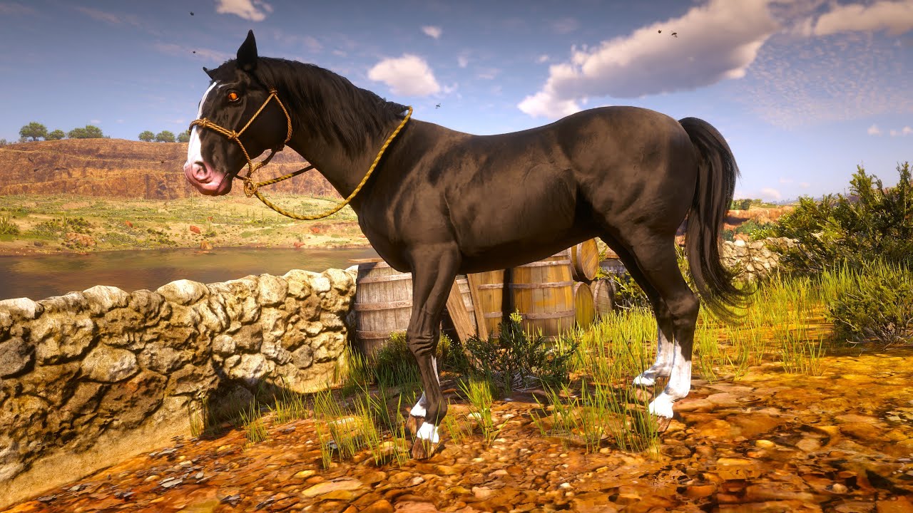 Red Dead Redemption 2 | You Can Caught Kentucky Saddler Horse Easily at ...