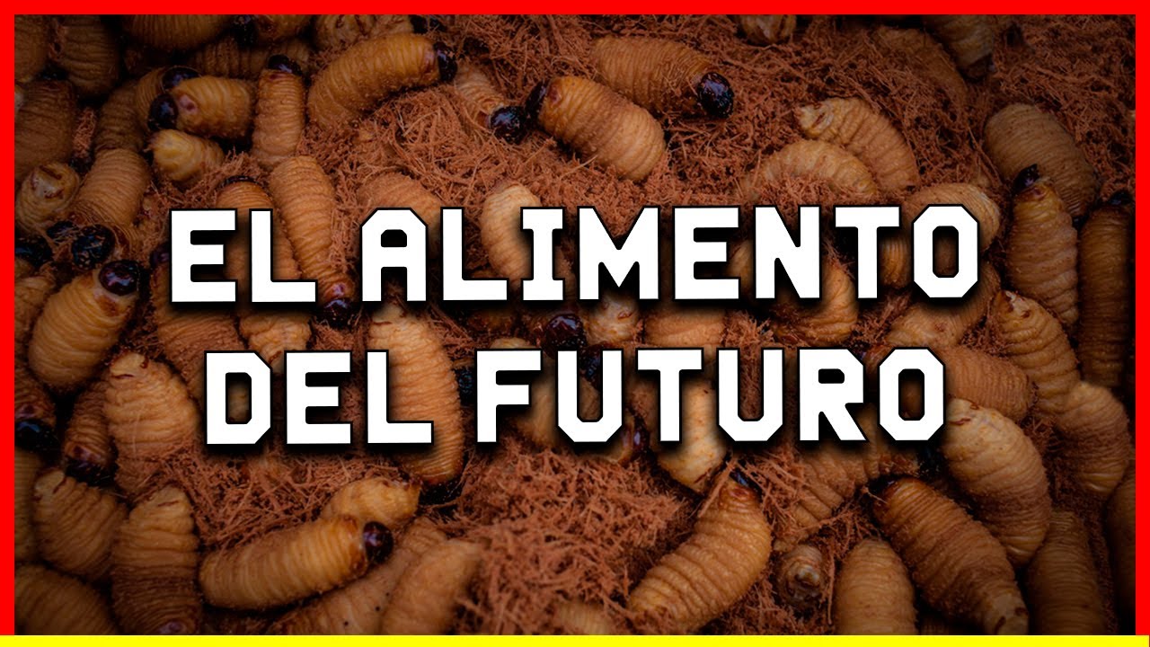 MOJOJOY la comida más BIZARRA del mundo - YouTube