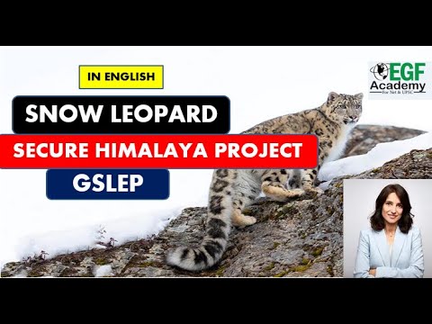 Snow Leopard l Project Snow Leopard l Snow Leopard UPSC l SECURE ...