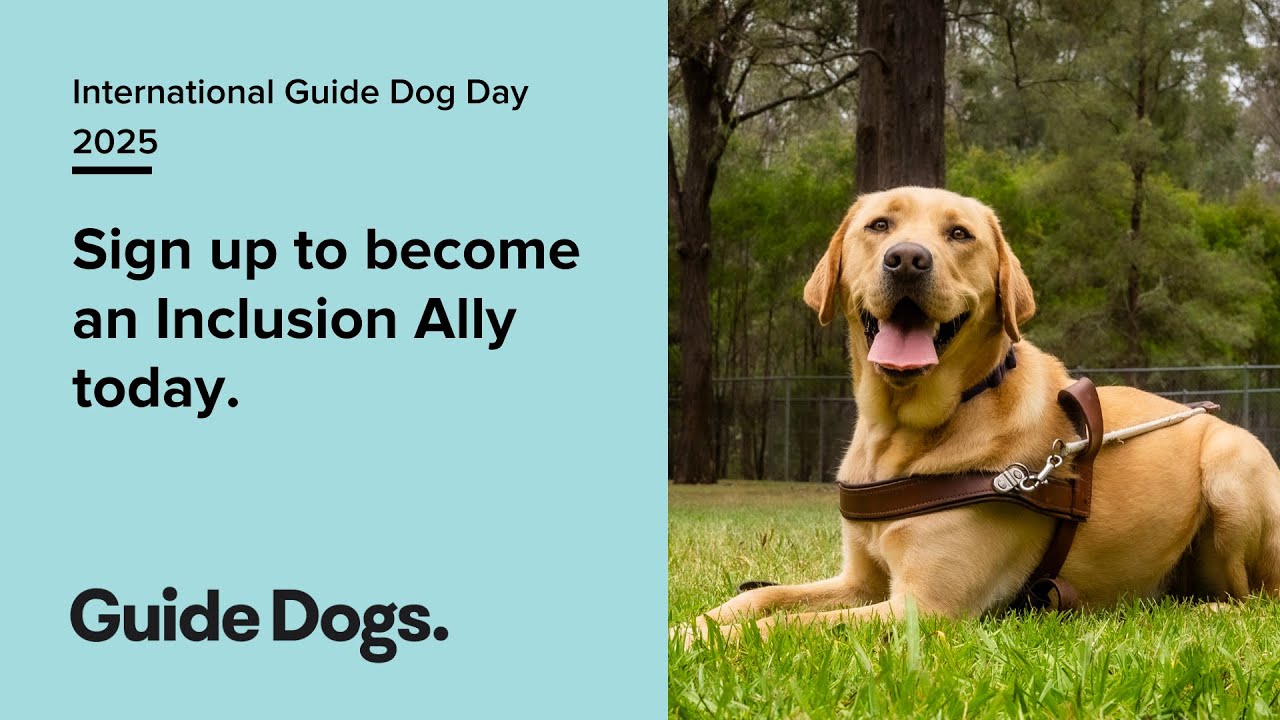 International Guide Dog Day 2025 Sign up to become an Inclusion Ally ...