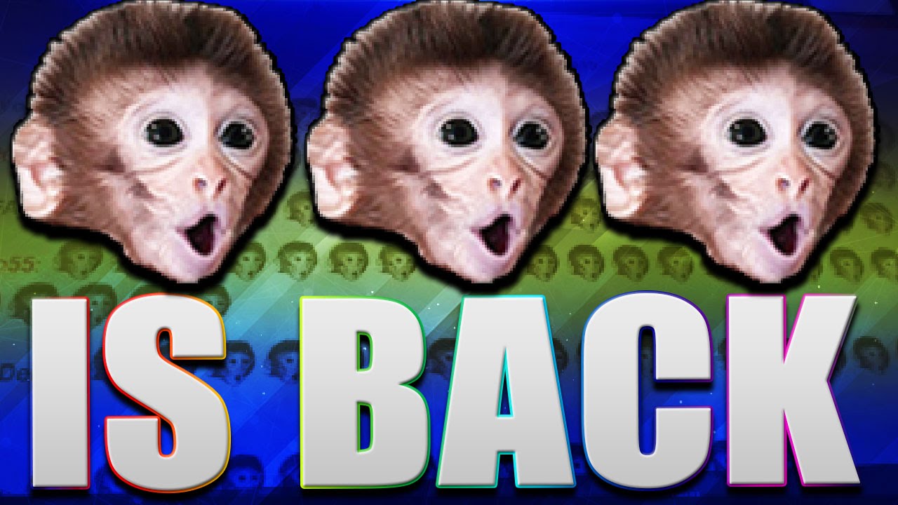POG CHIMP IS BACK! - YouTube