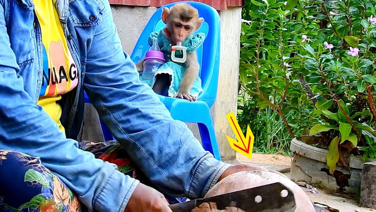 Elly watching mom Thai cut coconut, She looking with carefully - YouTube