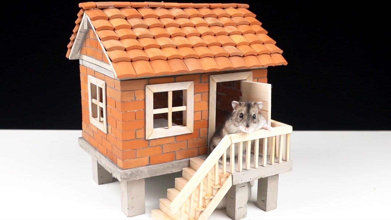 How to Make A BRICK House for Hamster - YouTube