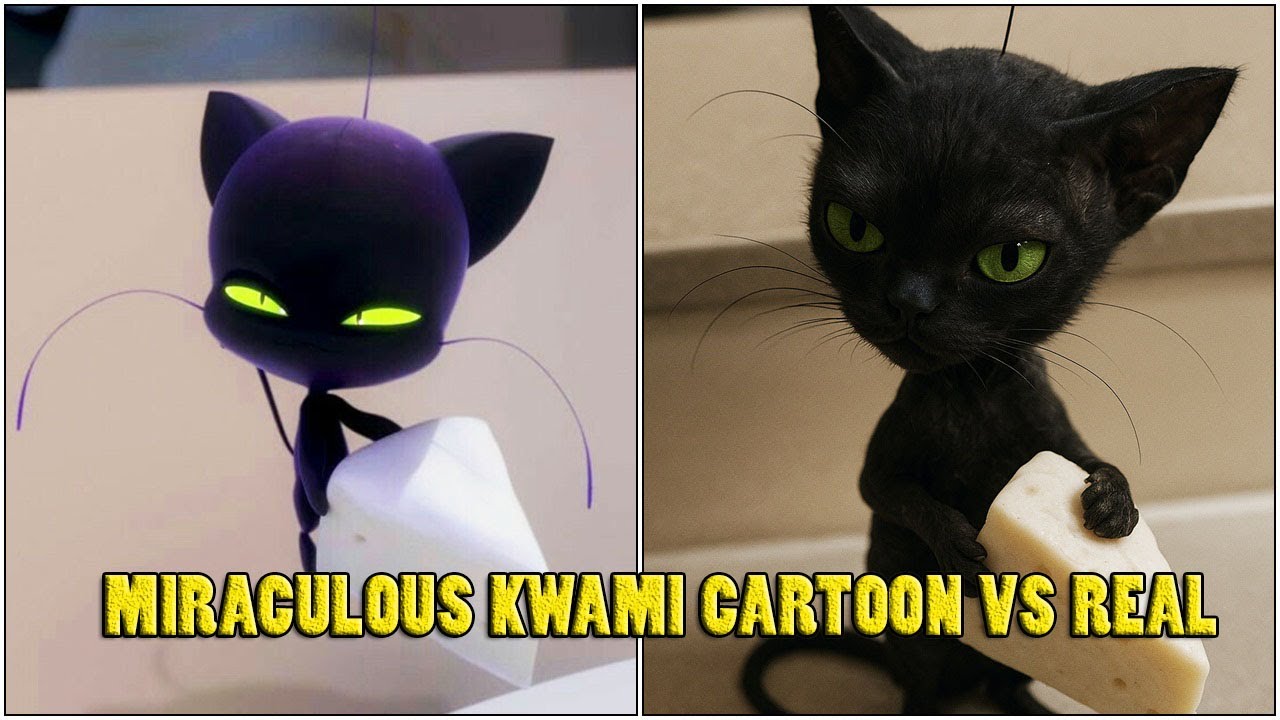 MIRACULOUS KWAMI | CARTOON VS REAL LIFE - YouTube