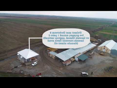 Yevlax rayonunda 72 hektarlıq FERMA kompleksi satılır.Hazır biznes.kupçalıdır,qiyməti 2.000.000 azn