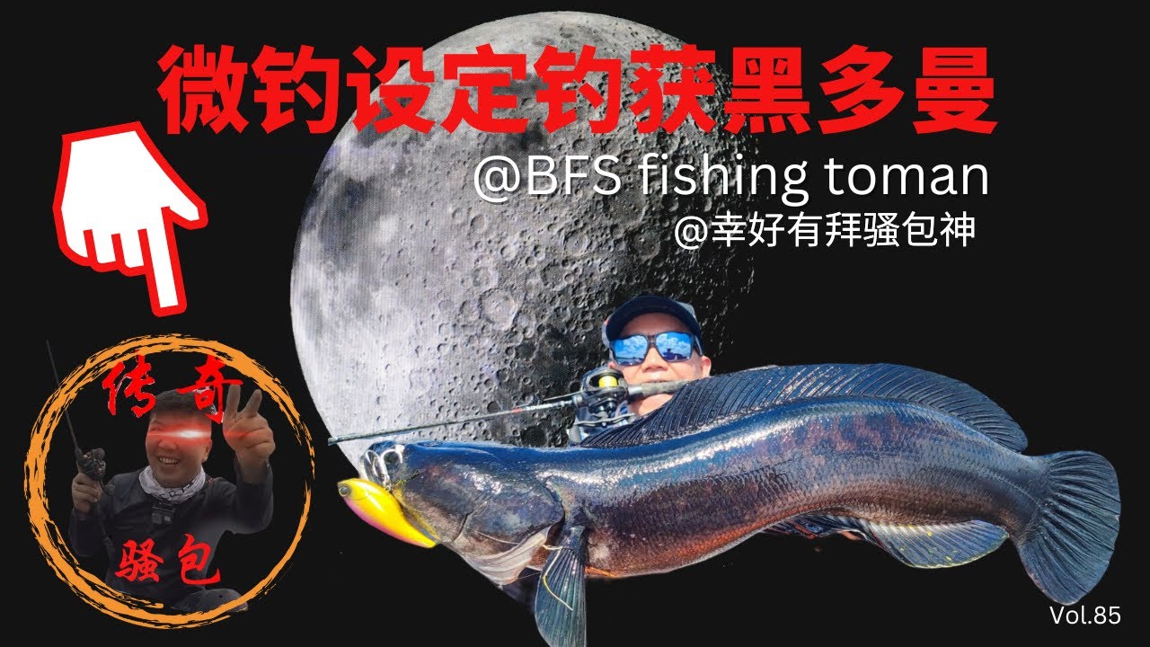Vol.85 微钓设定钓获黑多曼 BFS Fishing Black Toman #fishing #fishingvideos #钓鱼 #路 ...