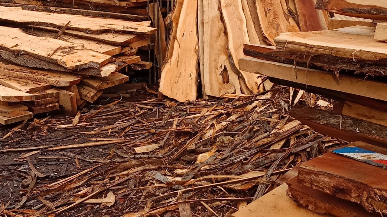 Natural Round Tree Table slab, For Home | woodworking #wood - YouTube