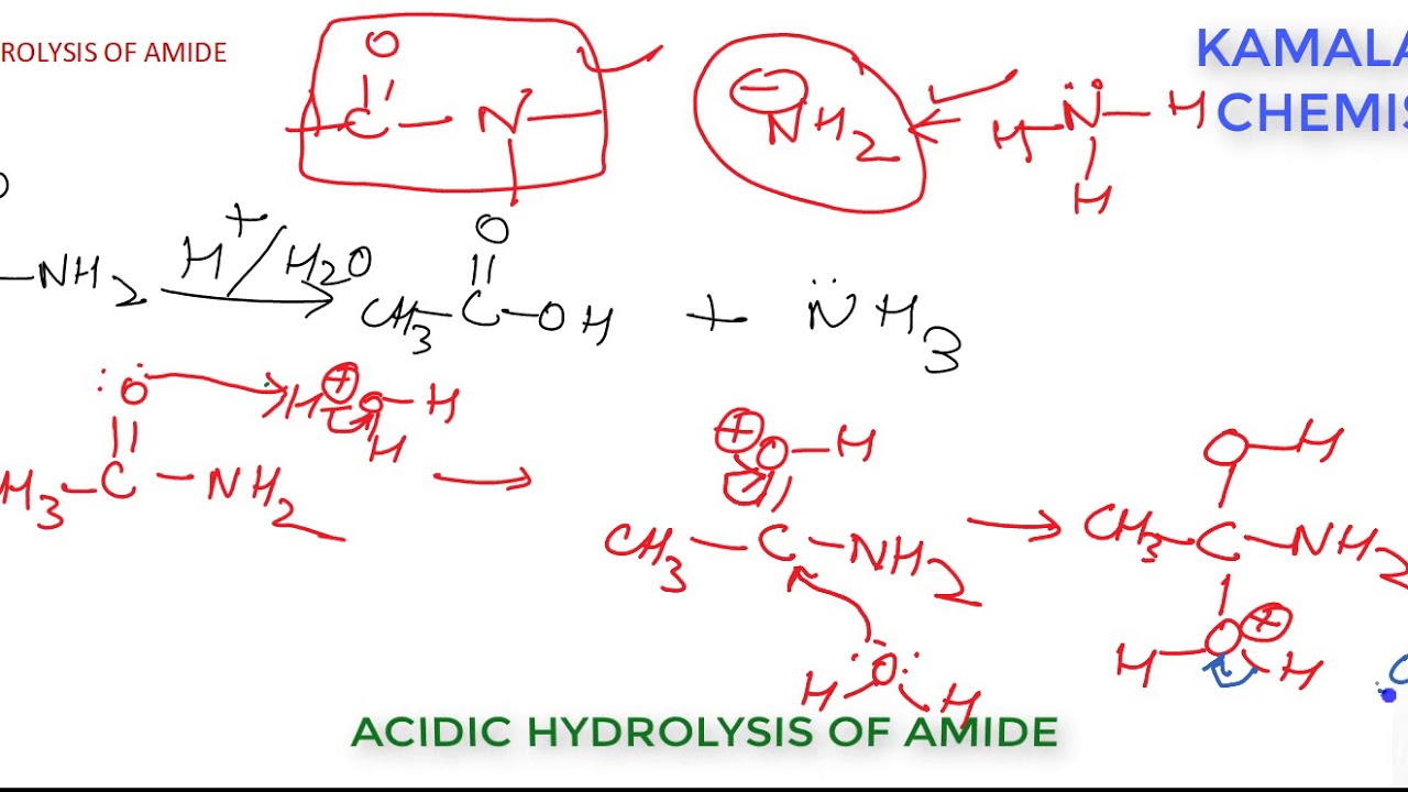hydrolysis of amide in acidic and basic medium with mechanism - YouTube