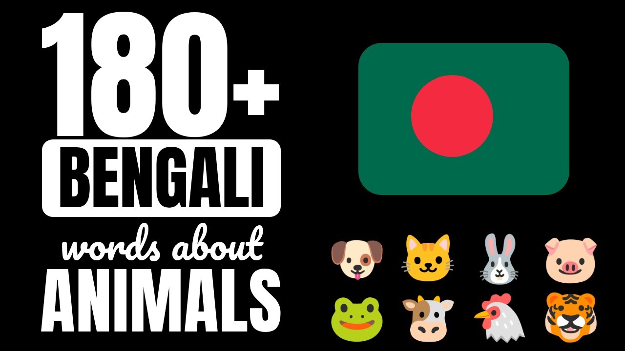 Animals | Learn Bengali vocabulary (183 words) - YouTube