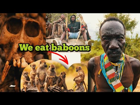 Tracking baboons with the Hadzabe tribe for 3 days - YouTube