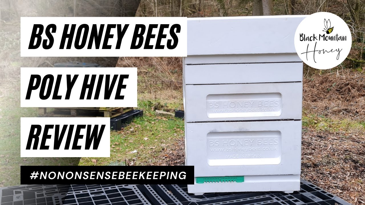 BS HONEY BEES POLY HIVE REVIEW - UK EXCLUSIVE - YouTube