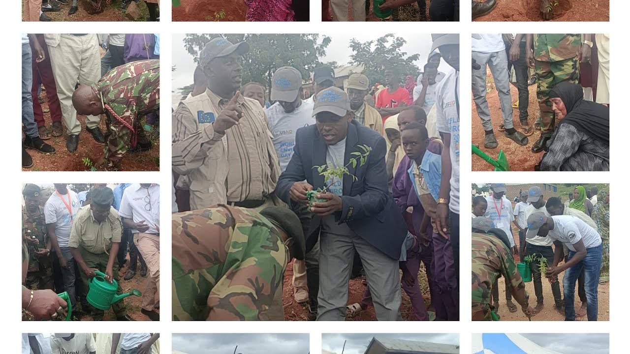 BUTIYE LUMINOUS GROUP CELEBRATE WORLD ENVIRONMENT DAY 2023 AT HOLALE ...
