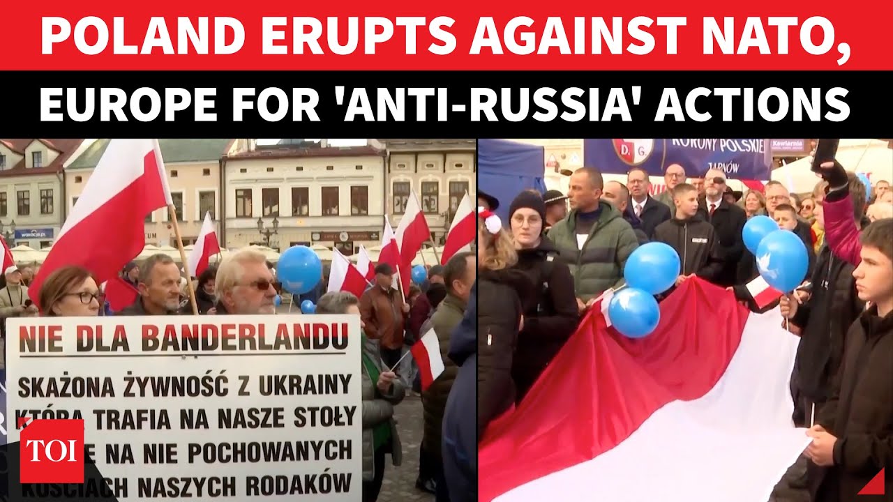 'RUSSIA WON'T SPARE US IF...': Poland ERUPTS In Support Of Putin ...