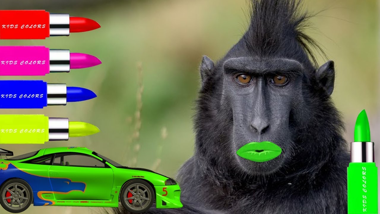 Funny Baby Learn Colors with Monkey Lipstick Children Song Finger ...