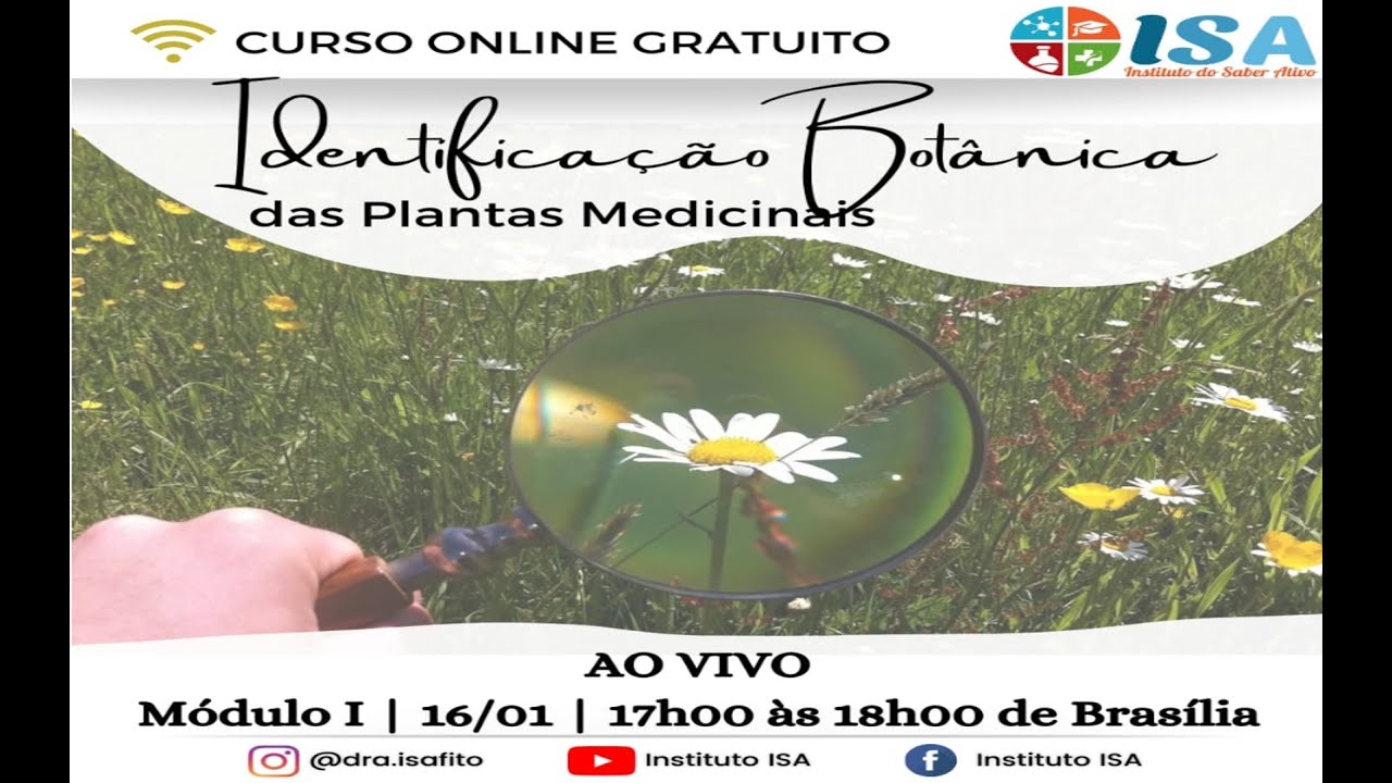 1ª MÓDULO DO CURSO GRATUITO DE IDENTIFICAÇÃO BOTÂNICA - YouTube