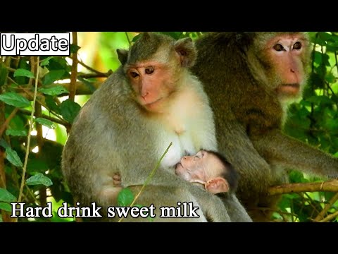 Julina try keep silent feeding milk her baby JASPER sleep/ JASPER hard drink milk scare mom reject