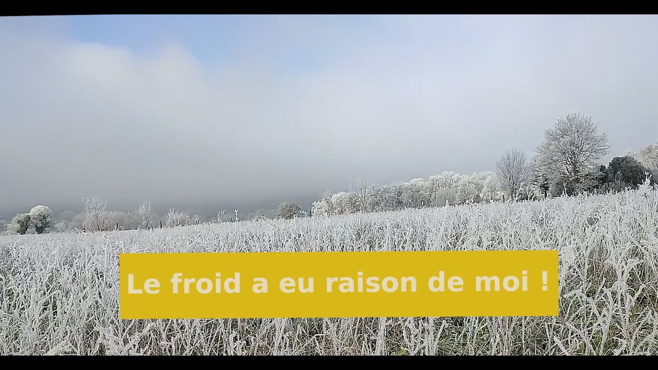 Le froid a eu raison de moi ^_^ - YouTube