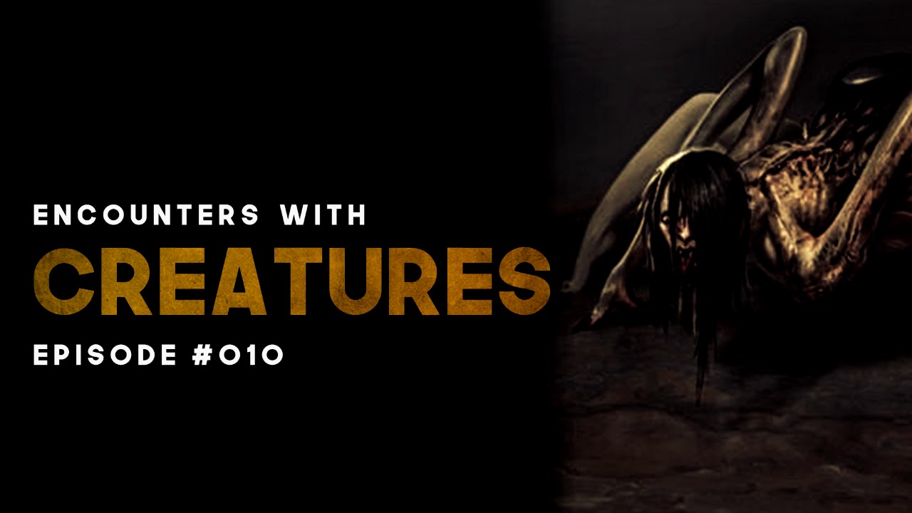CREATURE ENCOUNTERS - EPISODE #010 - What Lurks Beneath - YouTube