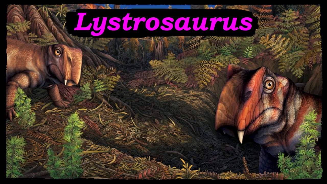 Lystrosaurus: the Humble Kings of the Triassic - YouTube