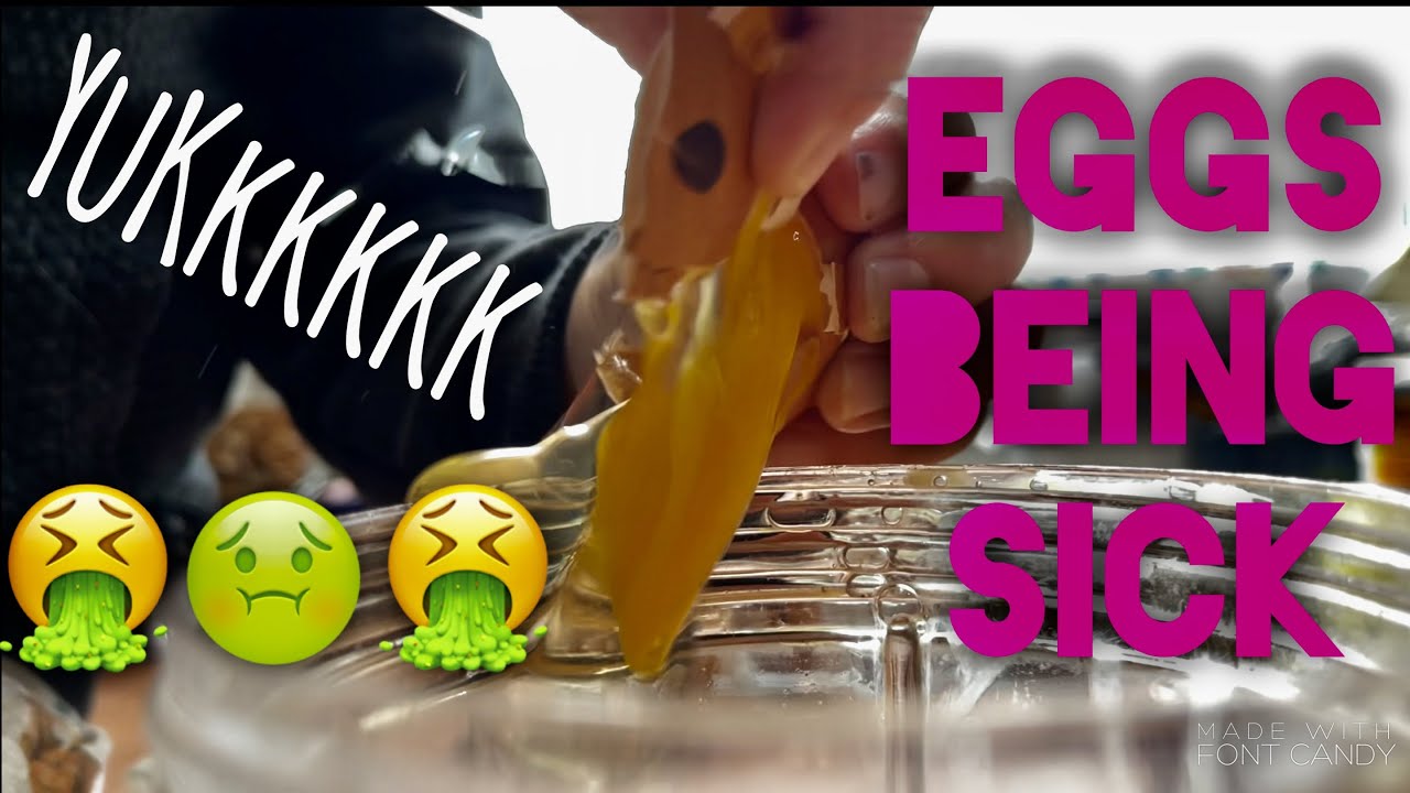 Eggs Being SICK | These Eggs are Weird!! - YouTube