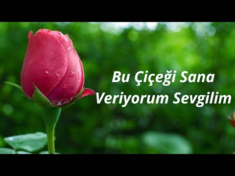 🌹Bir Çiçek🌹 Duruyordu, Orda, Bir Yerde🌹 #dünyanınşiiri