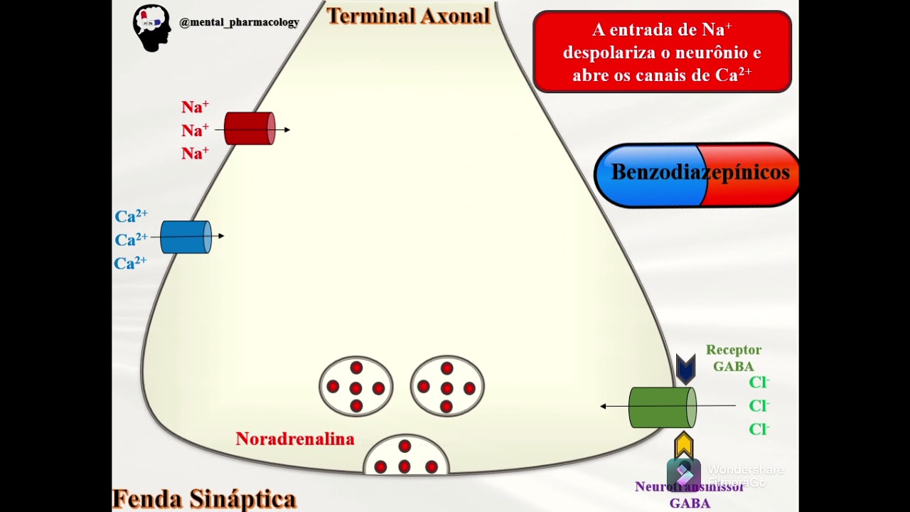 BENZODIAZEPÍNICOS (ANSIOLÍTICOS): Mecanismo de ação_Farmacologia - YouTube