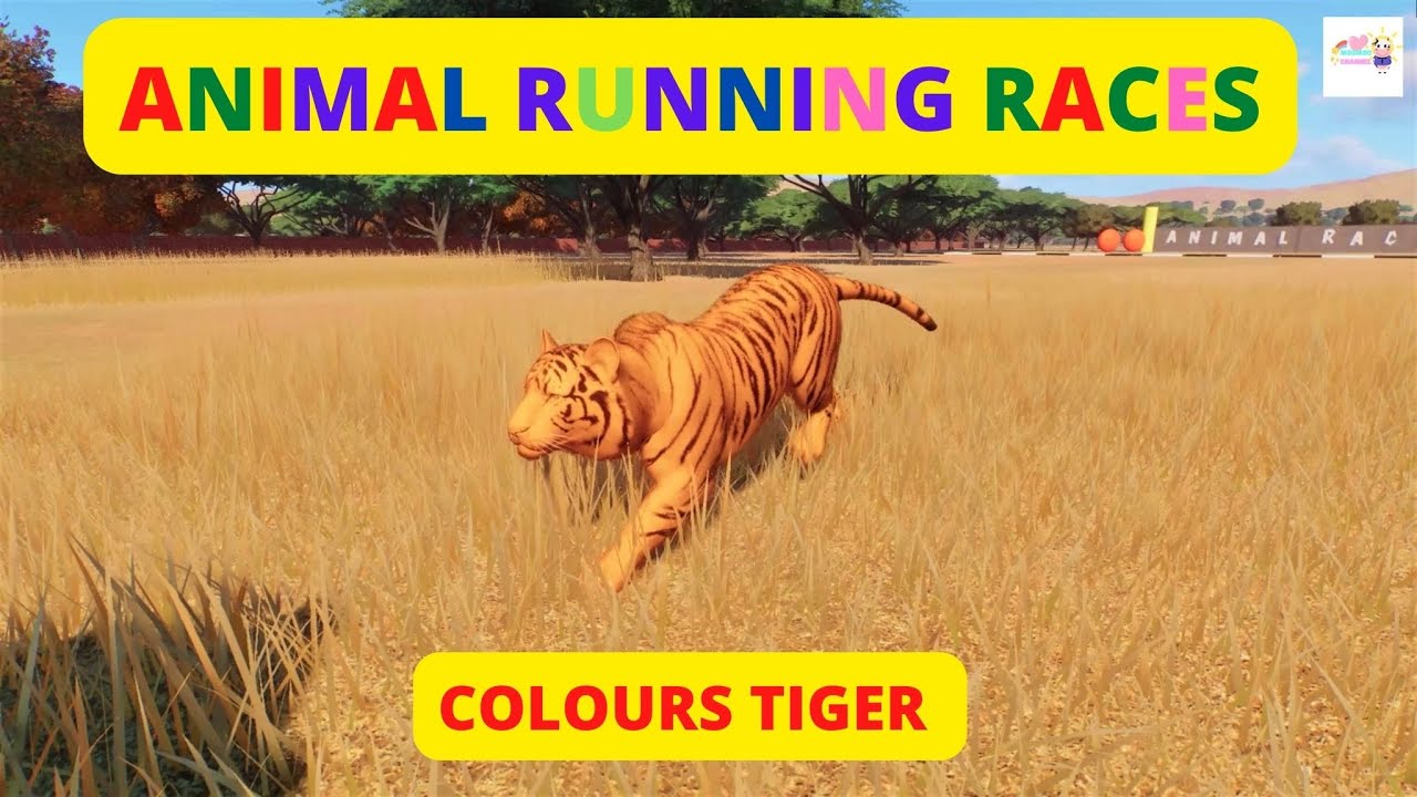 ANIMAL RUNNING RACES. ANIMAL COLORS!! COLORED TIGER RACES IN PLANET ZOO ...