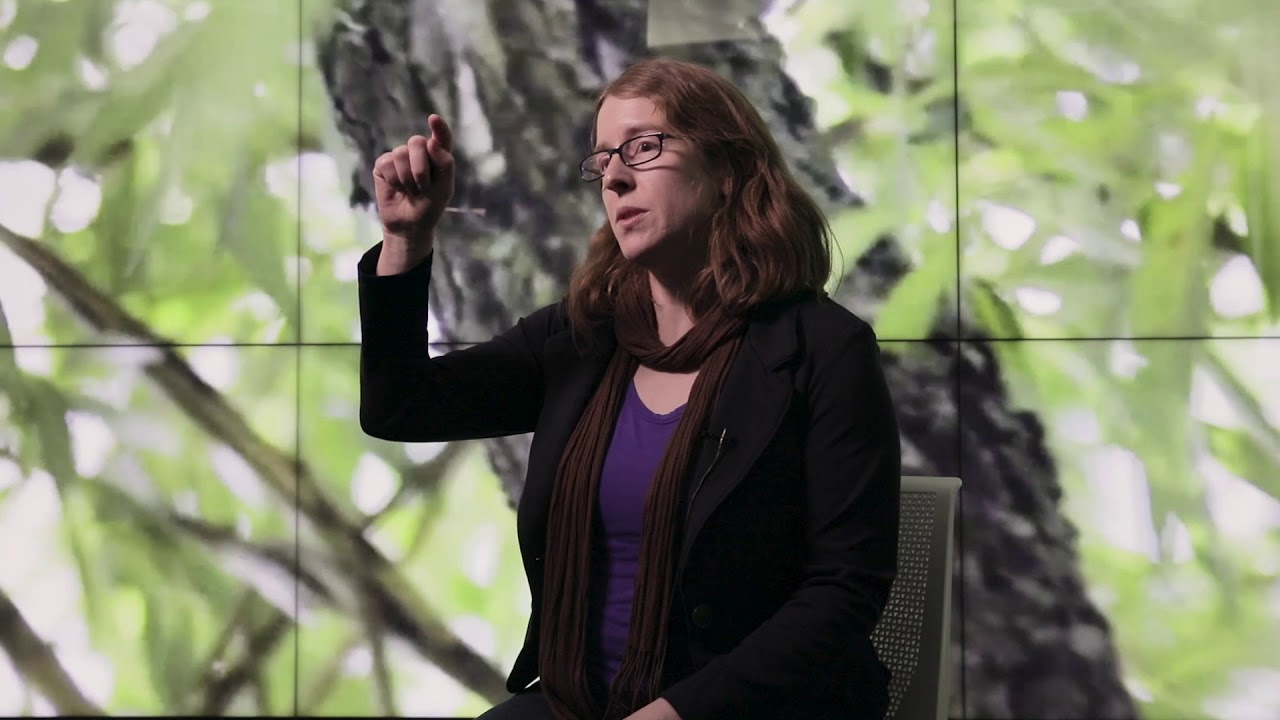 Andria Dawson Research on Ancient Tree Pollen - YouTube
