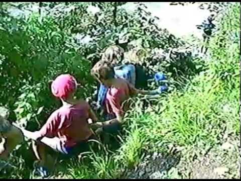 UZDVV 251